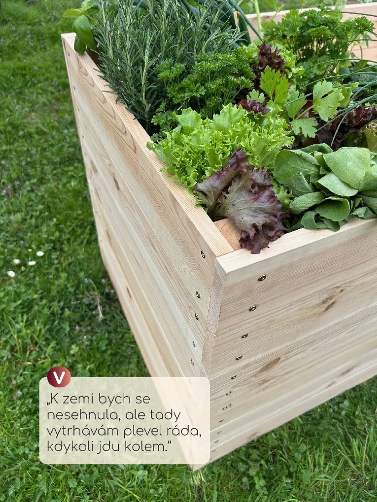 Vingo Dřevěný vyvýšený záhon Rozměry (cm): 120x60x60