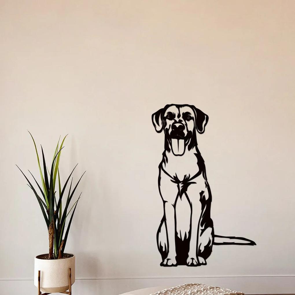 dřevo života Dřevěná dekorace psa Ridgeback Rozměry (cm): 25x45, Barevný vzor: Černá