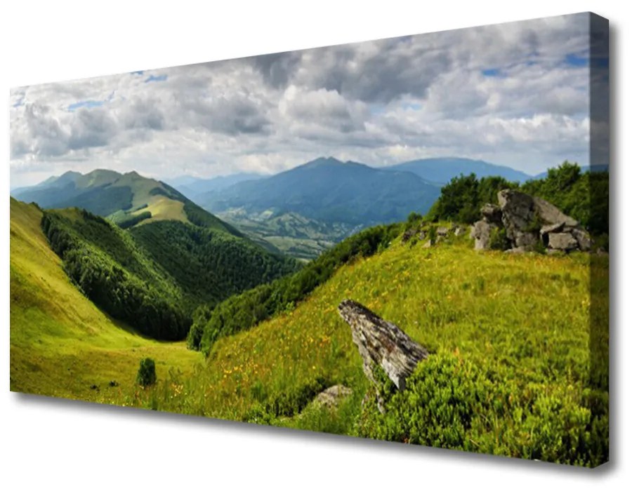 Obraz na plátně Hora Louka Krajina 100x50 cm