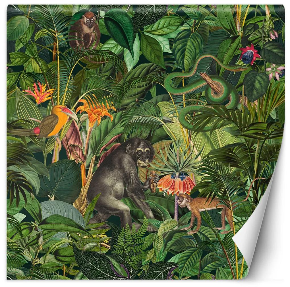 Gario Fototapeta Zvířata z džungle a zelené listy - Andrea Haase Materiál: Vliesová, Rozměry: 100 x 100 cm