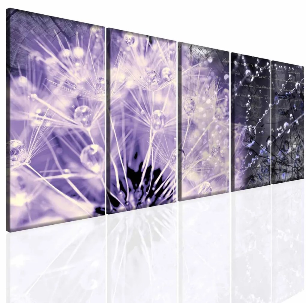 Pětidílný obraz pampeliška Purple Velikost (šířka x výška): 150x70 cm