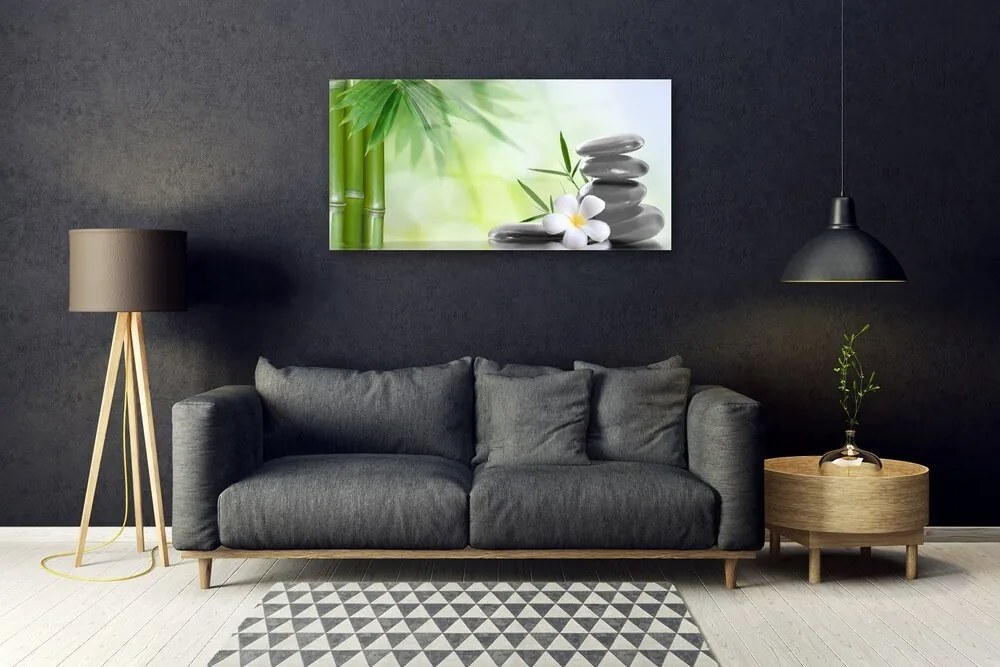 Obraz na skle Bambus Stonek Květ Rostlina 140x70 cm