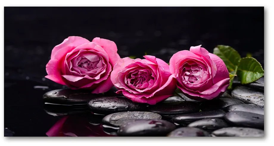 Wallmuralia Foto obraz akrylové sklo Růžové růže 120x60 cm