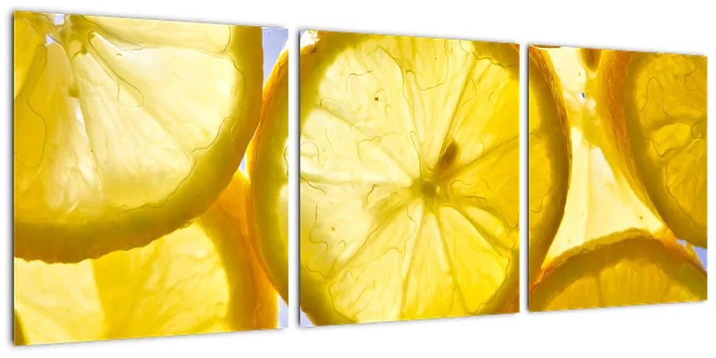 Plátky citrónů - obraz
