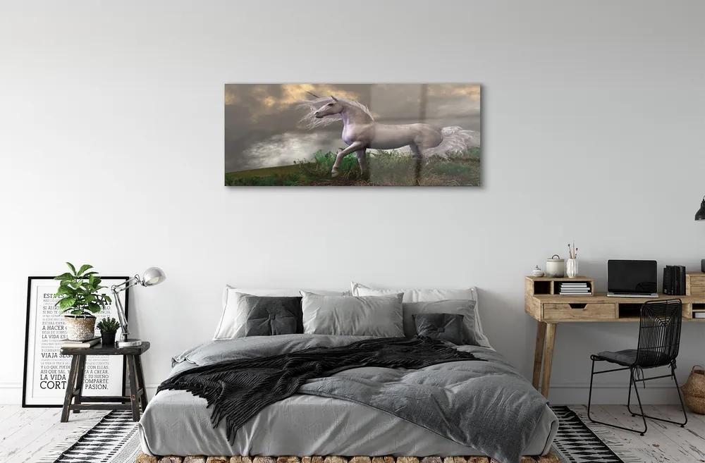 akrylový obraz Unicorn mraky 120x60 cm