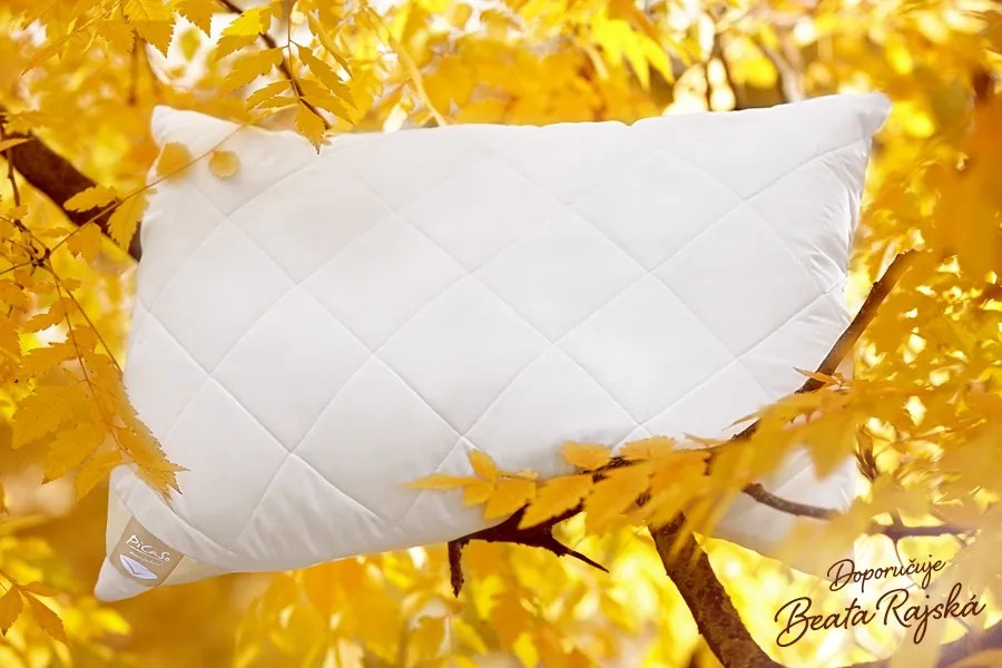 Lavinest Letní set Aloe Vera pro hluboký spánek Rozměr: 70x90 cm 900g zip + 135x220 cm 600g
