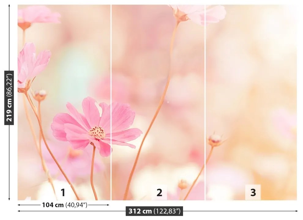 Fototapeta Růžové květy kosmu 104x70