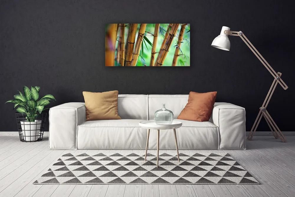 Obraz na plátně Bambus Příroda Rostlina 140x70 cm