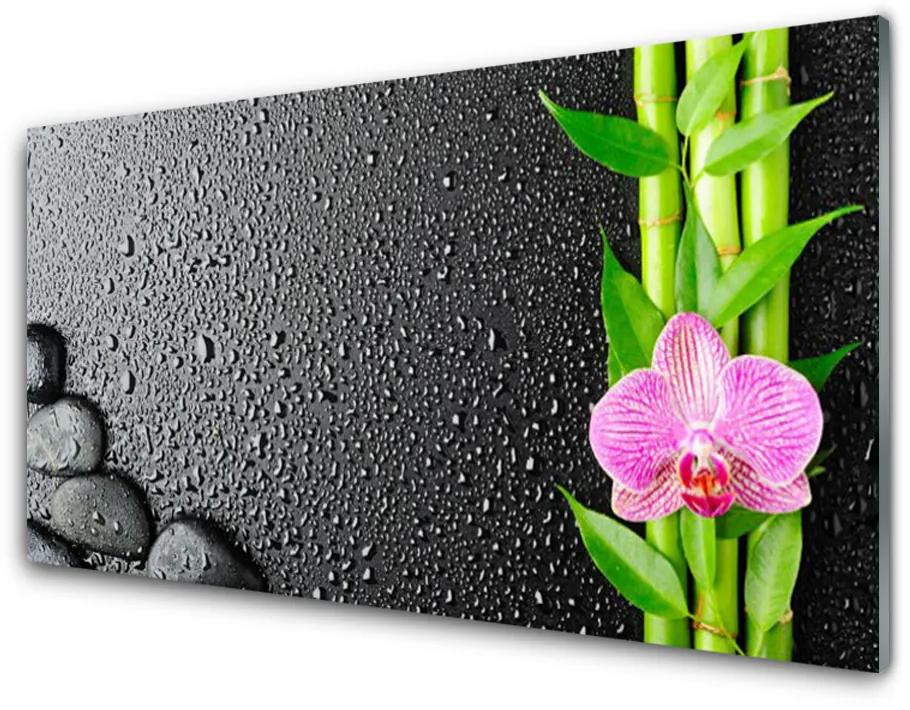 Obraz na skle Bambus Stonek Květ Rostlina 100x50 cm