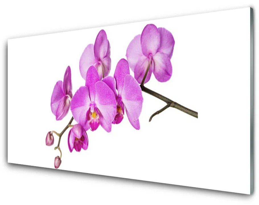 Plexisklo-obraz Vstavač Orchidej Květiny 125x50 cm