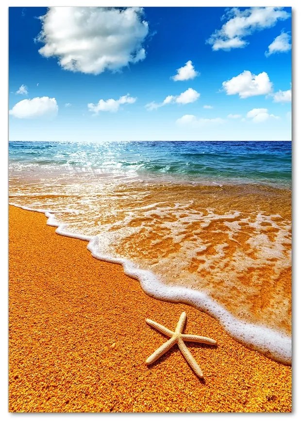 Wallmuralia Fotoobraz na skle Hvězdice na pláži 70x100 cm
