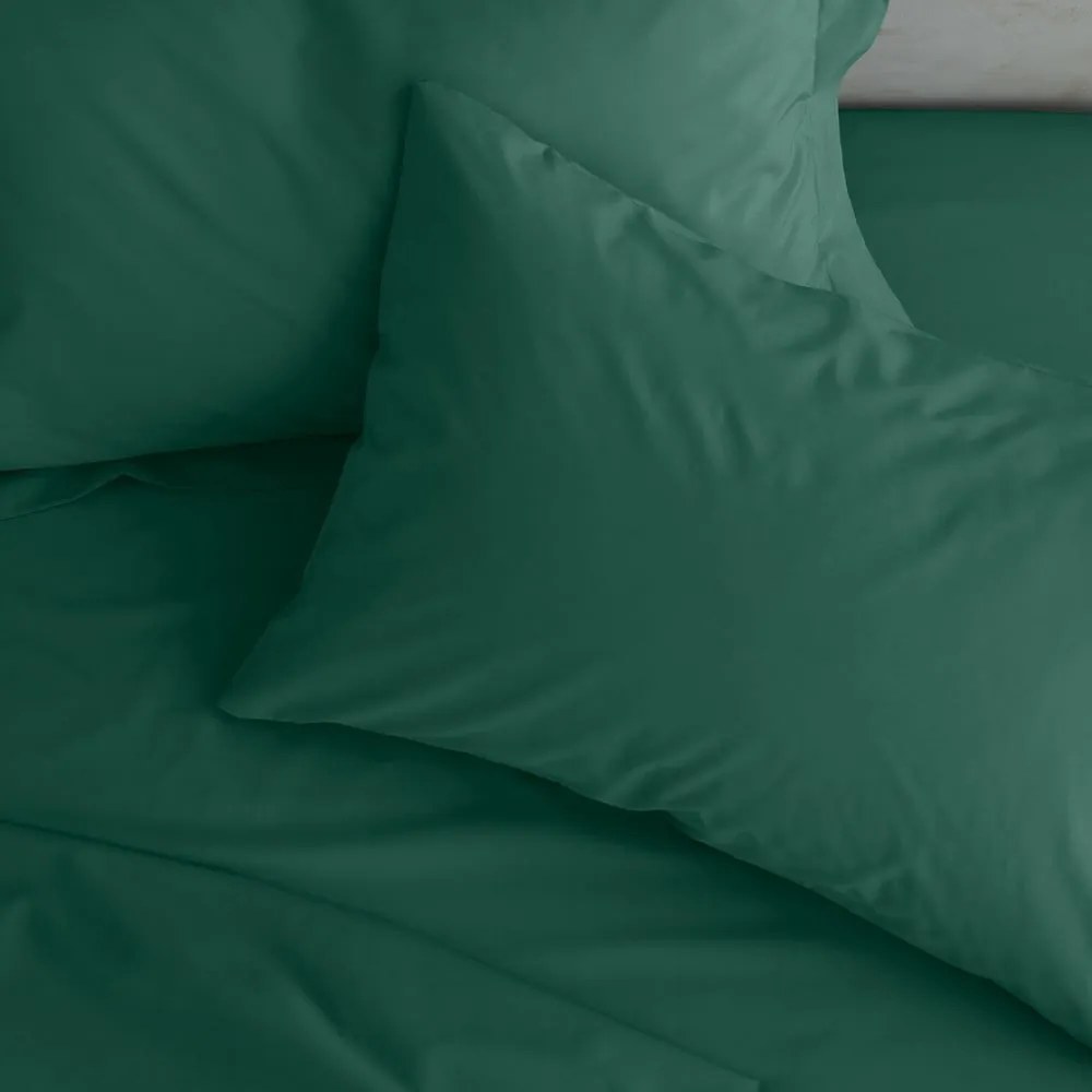 Perkálové povlaky na polštáře v sadě 2 ks 50x75 cm Easy Iron Percale – Catherine Lansfield