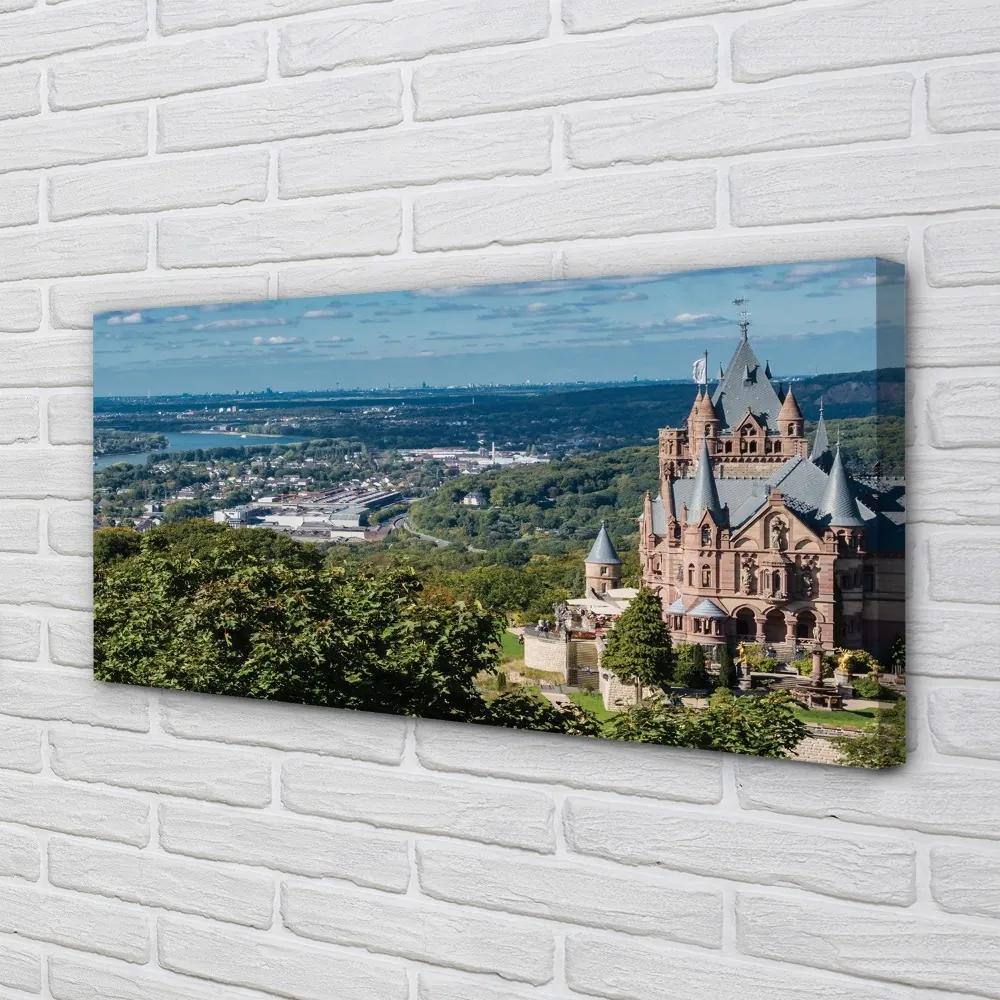 Obrazy na plátně Německo Panorama městského hradu 100x50 cm