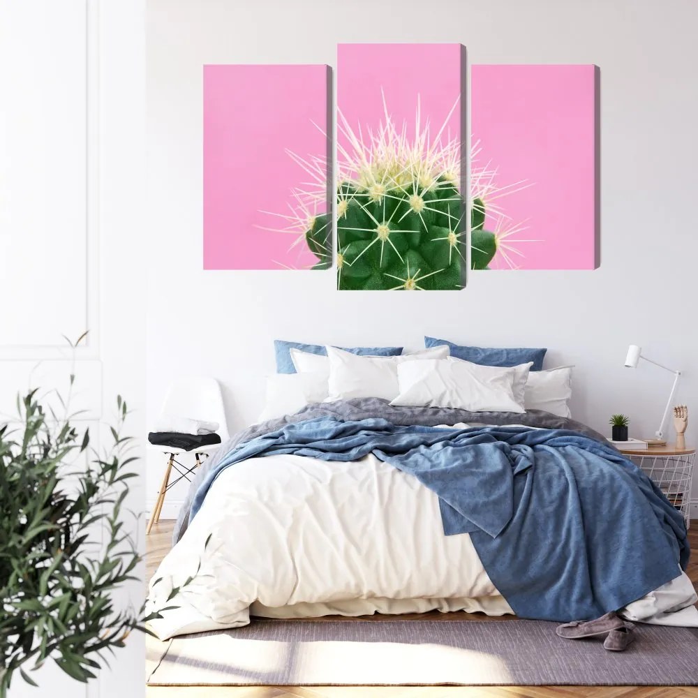 Vícedílný obraz Kaktus Na Růžovém Pozadí Nedostatek Nedostatek Plátno Canvas 180x120