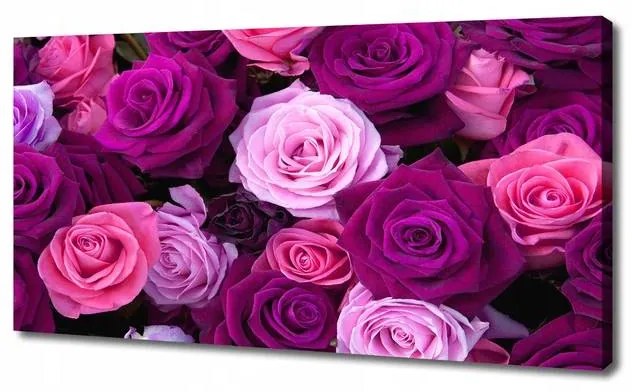 Obraz na plátně - Růže fialové 140 x 70 cm
