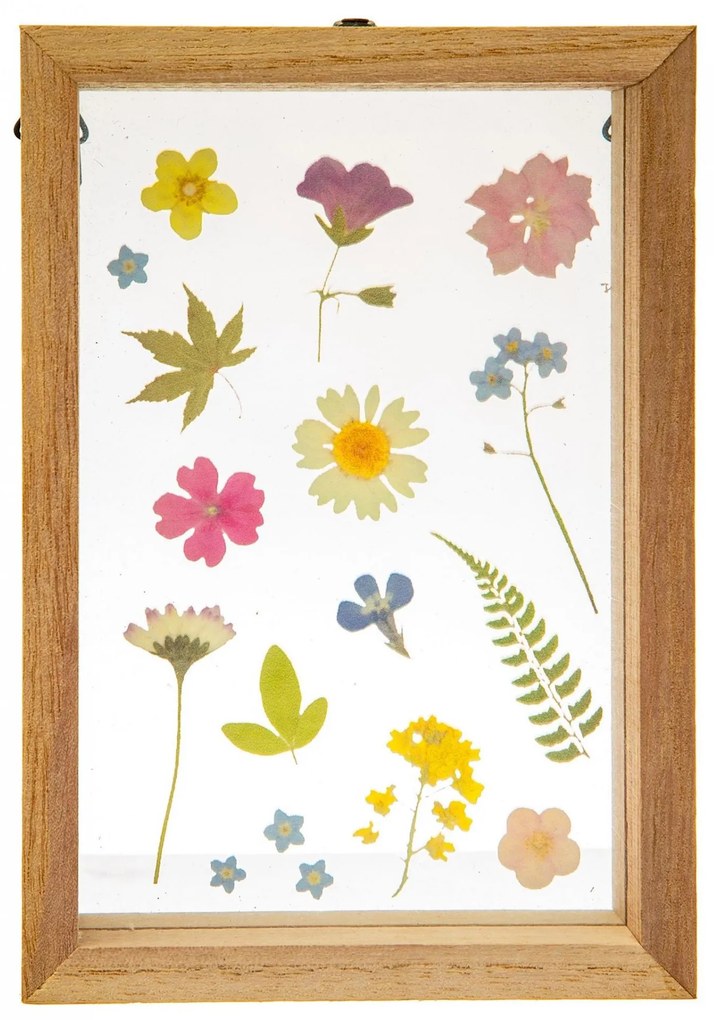 sass & belle Dřevěný rámeček Pressed Floating Flowers, přírodní barva, sklo, dřevo