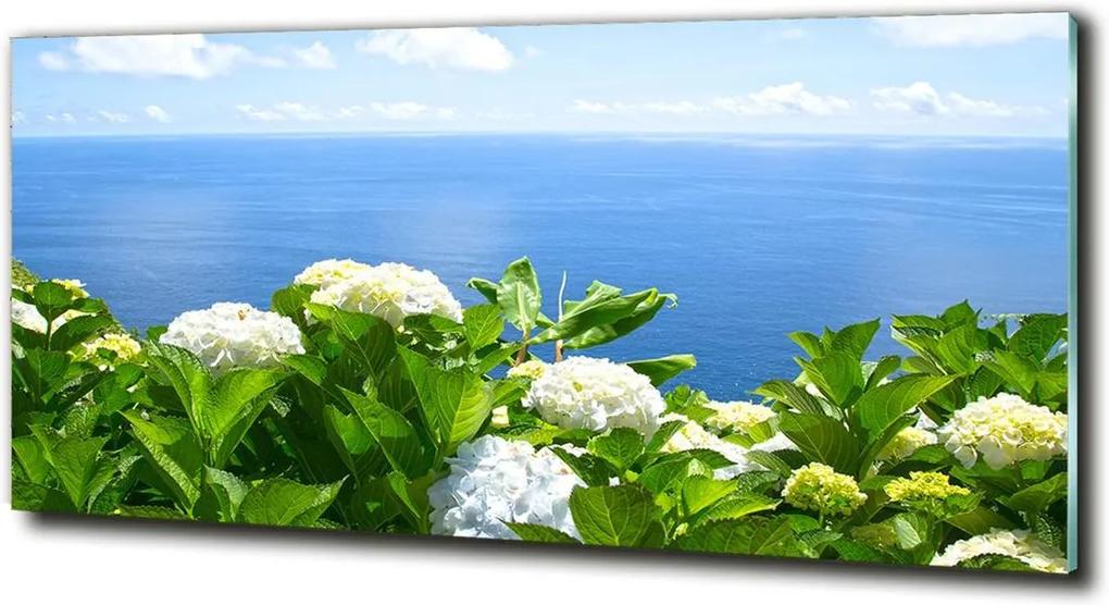 Foto obraz sklo tvrzené Květiny nad mořem