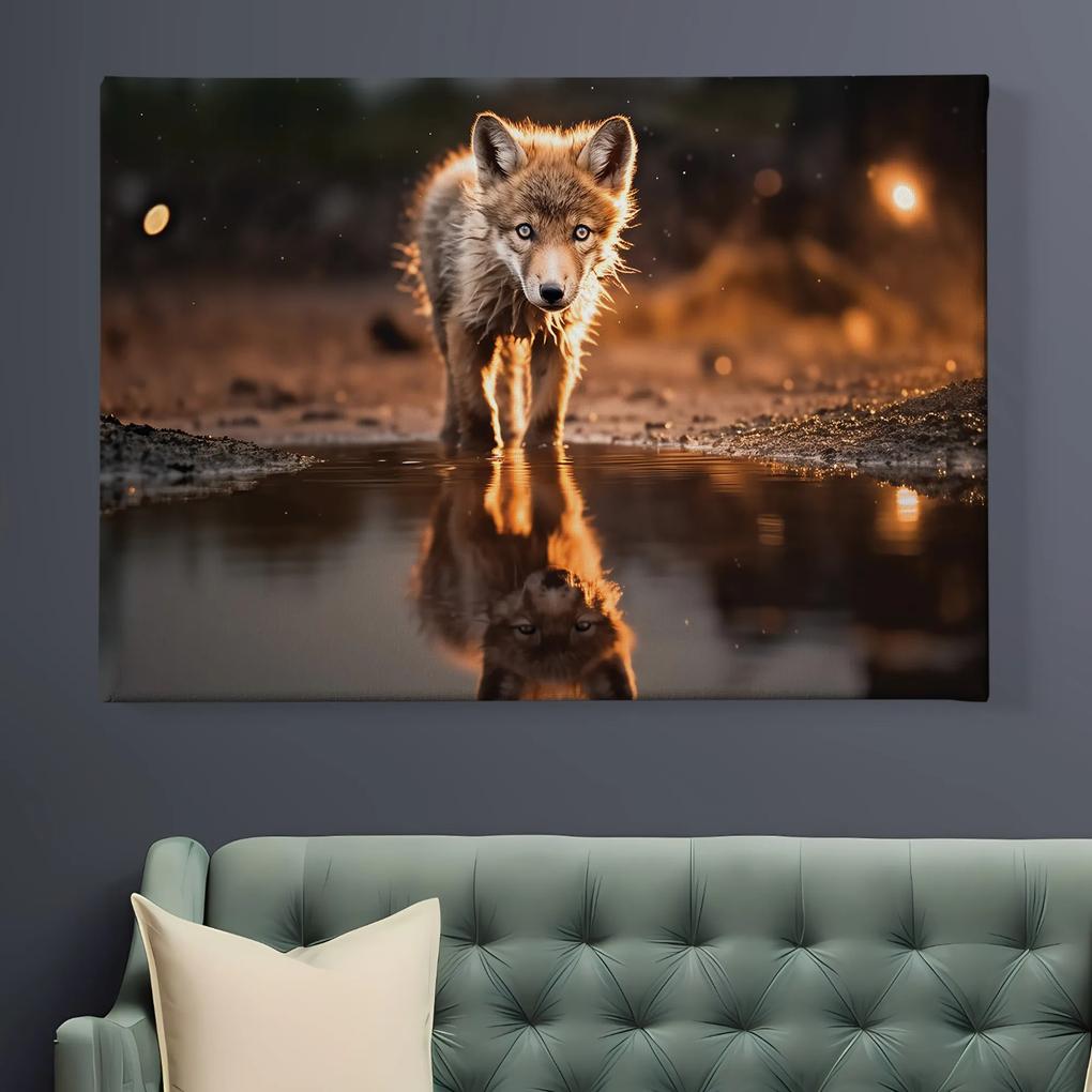 Obraz na plátně - Mládě vlka v louži FeelHappy.cz Velikost obrazu: 90 x 60 cm