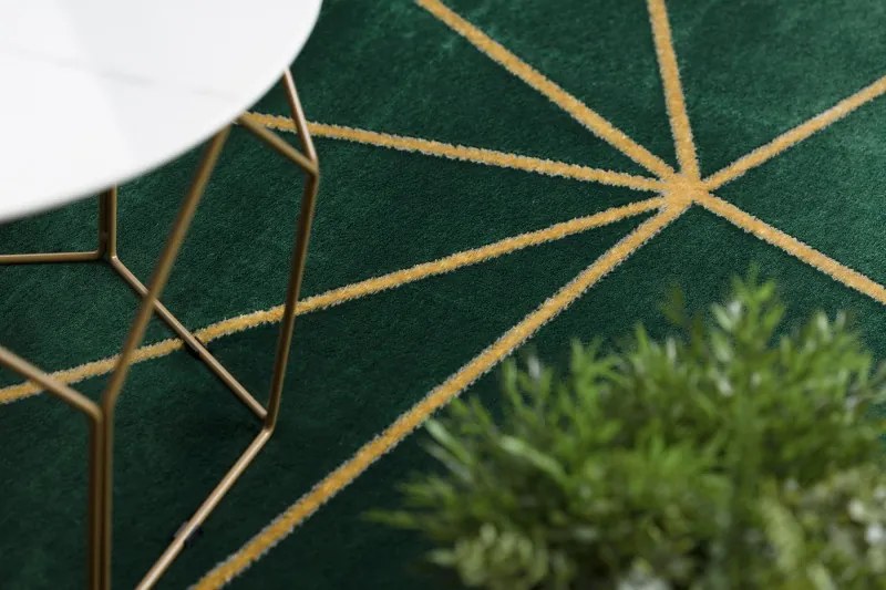 Dywany Łuszczów, AKCE: 160x220 cm Kusový koberec Emerald 1013 green and gold, zelená, chodba / předsíň