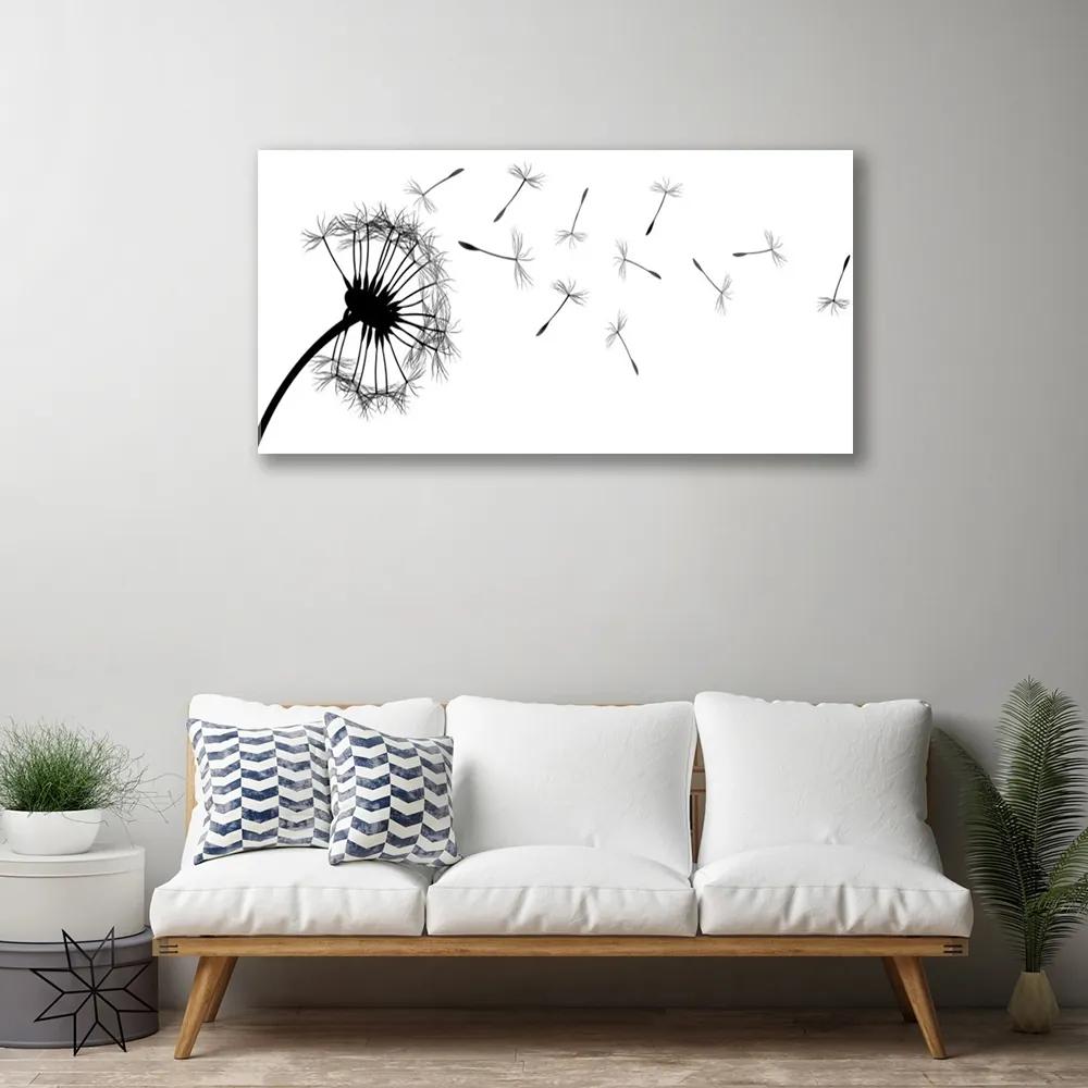 Plexisklo-obraz Pampeliška Květ 100x50 cm