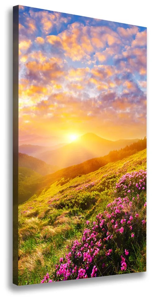 Wallmuralia Vertikální Foto obraz na plátně Západ slunce hory 50x100