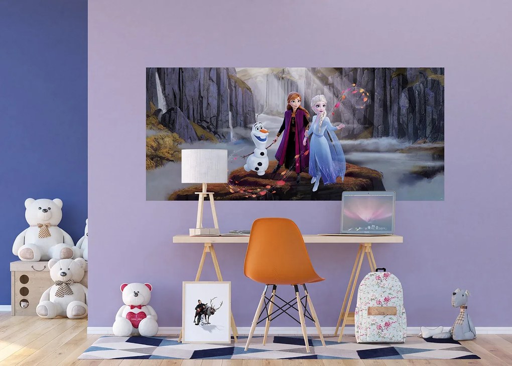 Dětská vliesová fototapeta na zed' Ledové království Rybník, Disney | 202 x 90 cm | DFTDNH 5386