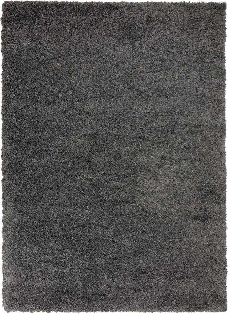 DOPREDAJ: 60x110 cm Kusový koberec Brilliance Sparks Anthracite, 60x110, šedá, obývacia izba, Flair Rugs