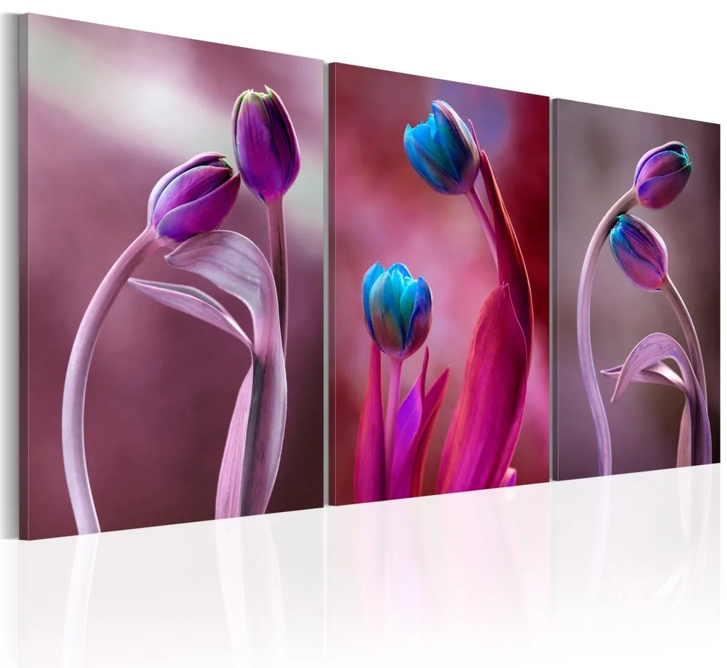 Třídílný obraz - Zamilované tulipány (120x60 cm) - Murando DeLuxe