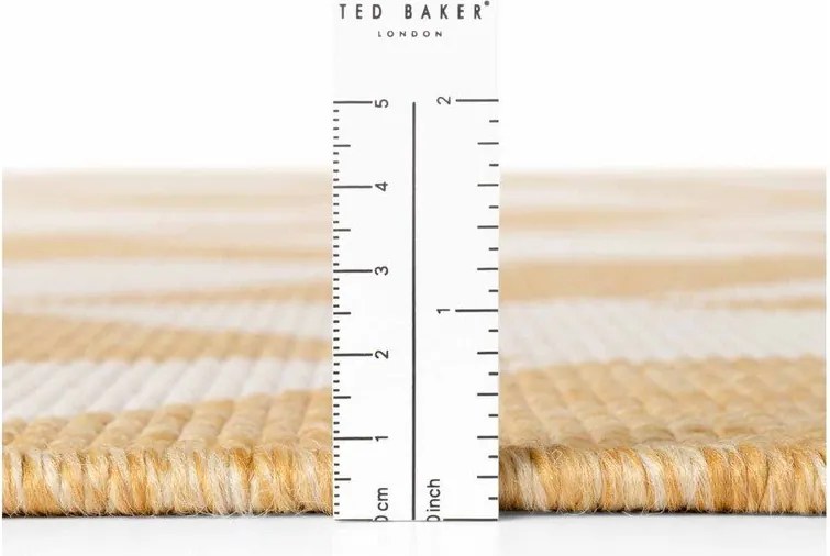 Krémový/v přírodní barvě vnitřní a venkovní koberec 200x300 cm Haringey Terrick – Ted Baker