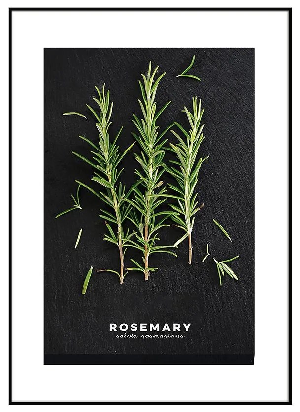 Obraz Artbox 50x70 AB181 Rosemary OB-14443