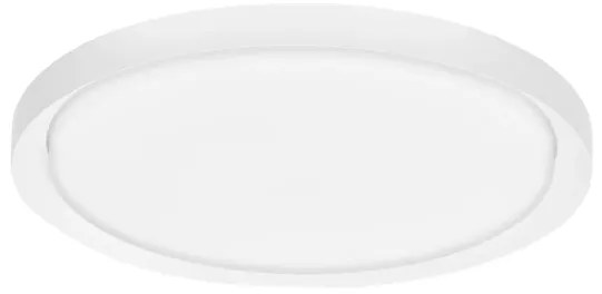LED stropní svítidlo Troy 46 bílé