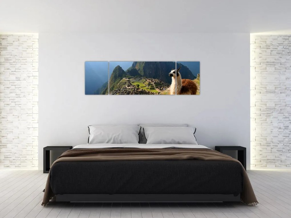 Obraz - Lama a Machu Picchu (170x50 cm)