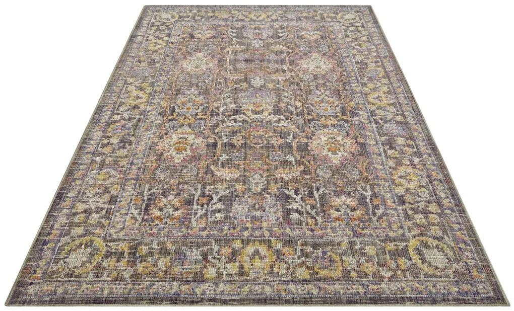 Nouristan - Hanse Home koberce Kusový koberec Cairo 105589 Luxor Grey Multicolored – na ven i na doma - 240x340 cm