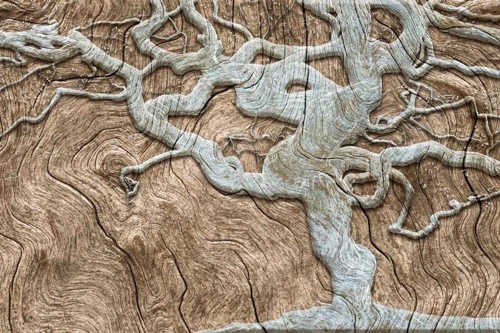 Tapeta abstraktní strom na dřevě v béžovém - 150x270