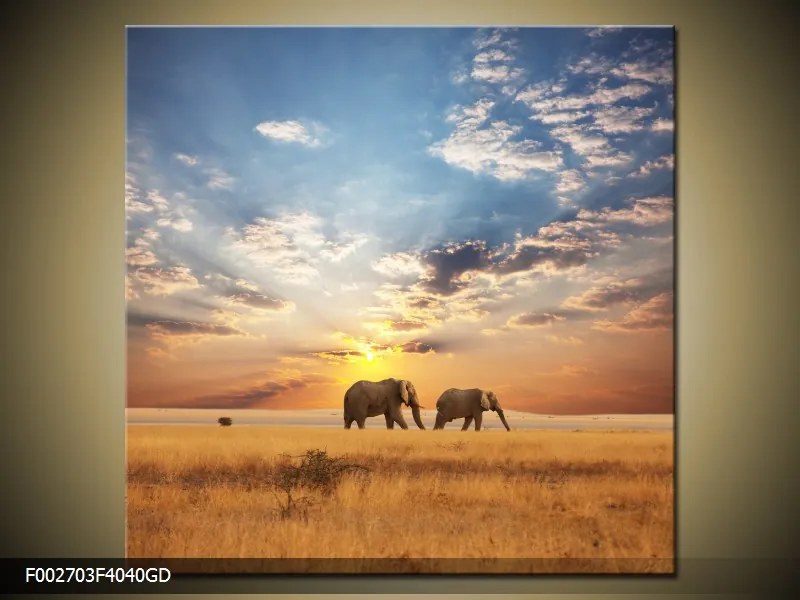 Obraz slonů putujících svanou  (), 40 dalších rozměrů
