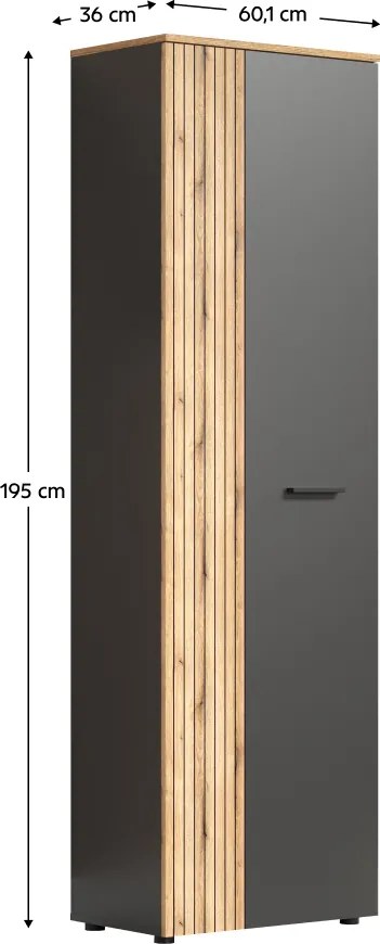 Skříň, dvoudveřová, grafit/dub evoke, ESENA 2D/40