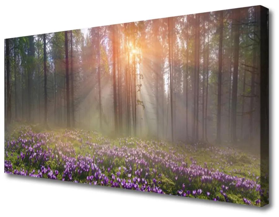 Obraz na plátně Les Květiny Rostlina Příroda 100x50cm