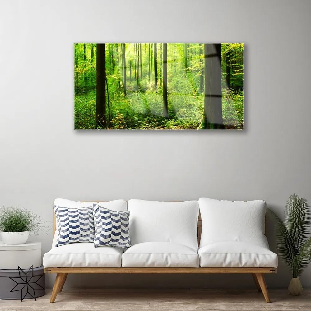 Obraz na skle Les Zeleň Stromy Příroda 125x50 cm