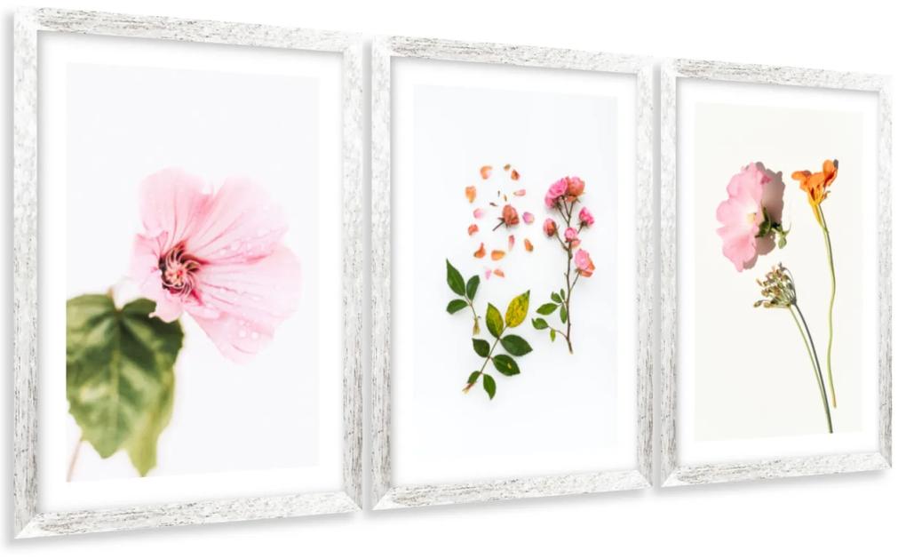 Gario Sada plakátů Kompozice květin - 3 dílná Barva rámu: Rustikální, Rozměry: 99 x 45 cm