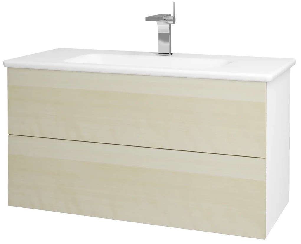 Dřevojas Koupelnová skříň VARIANTE SZZ2 100 (umyvadlo Euphoria) Varianta: N01 Bílá lesk / D16 Beton tmavý