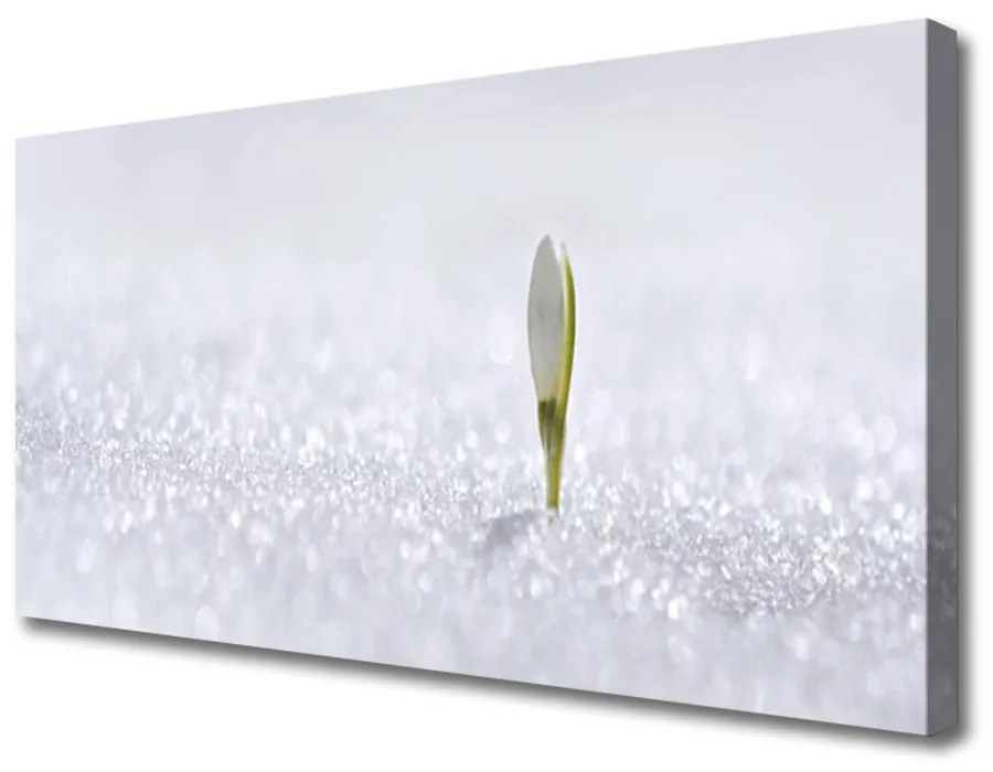 Obraz na plátně Sněženka Sníh Zima 140x70 cm