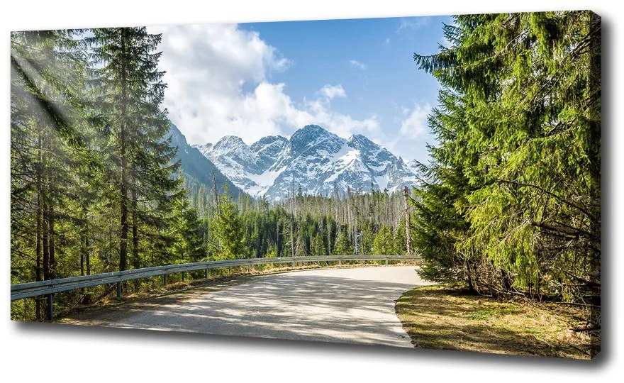 Wallmuralia Foto obraz na plátně Cesta Tatry 100x50