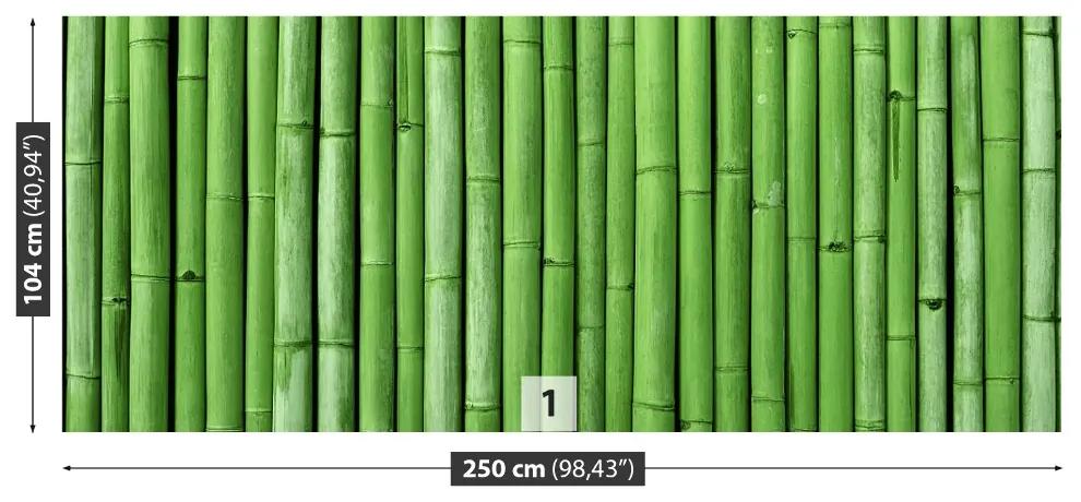 Fototapeta Bambusová zelená 104x70