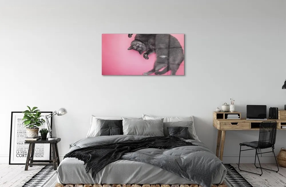 Obraz na skle ležící kočka 140x70 cm