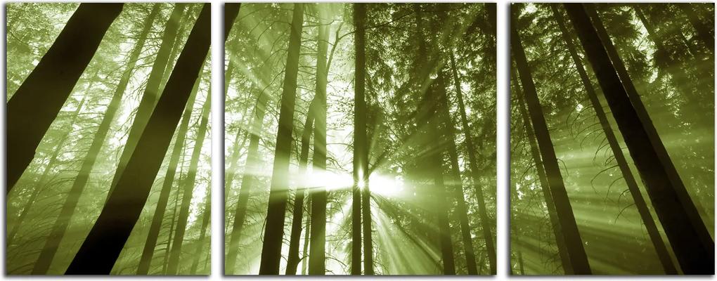 Obraz Slunce v lese , vícedílný