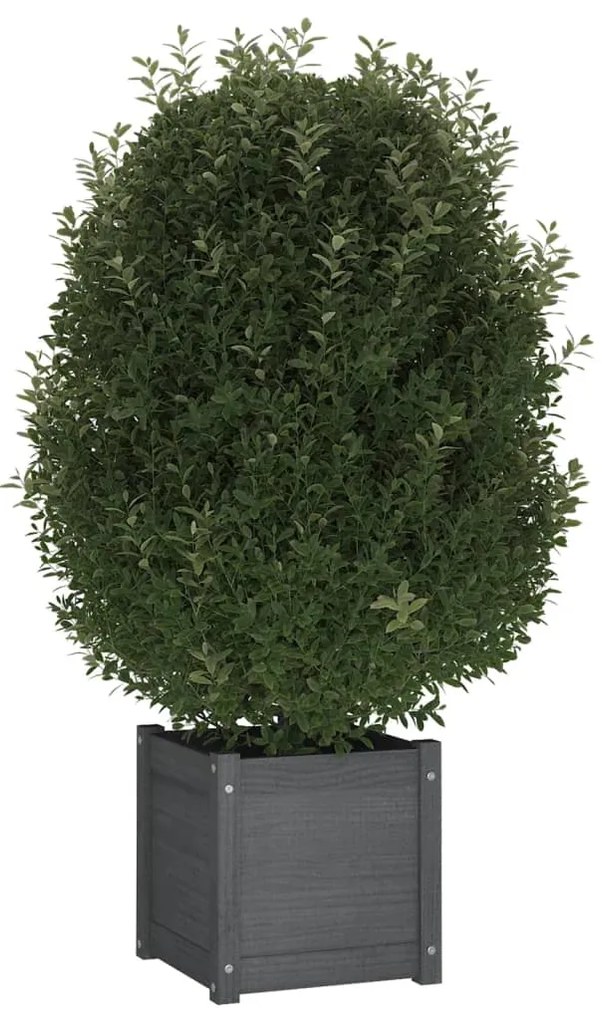 Zahradní truhlíky 2 ks šedé 40 x 40 x 40 cm masivní borovice - Default Title