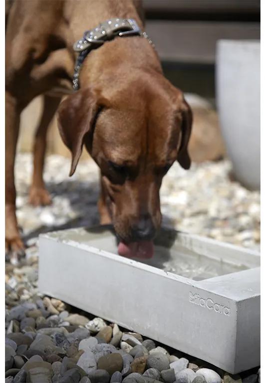 Miska pro psy MiaCara Trogolo světle šedá 44 x 22 x 10 cm