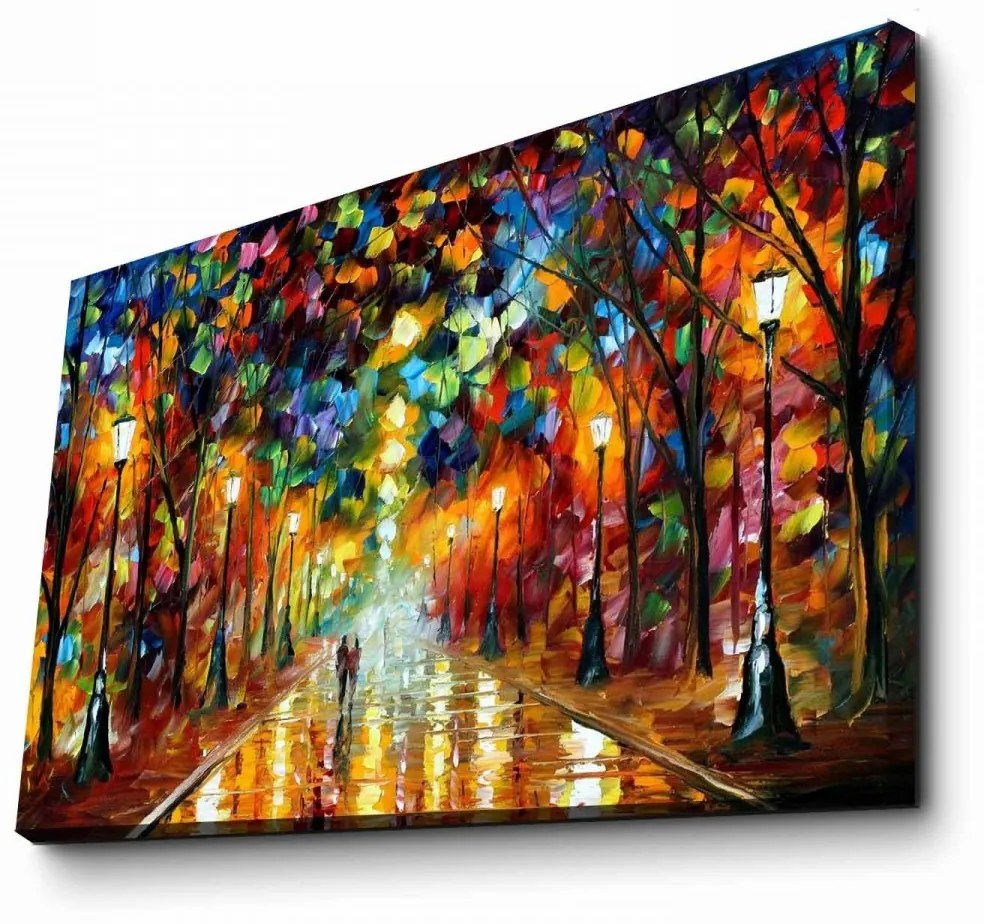 Reprodukce obrazu Leonid Afremov 70x45 cm