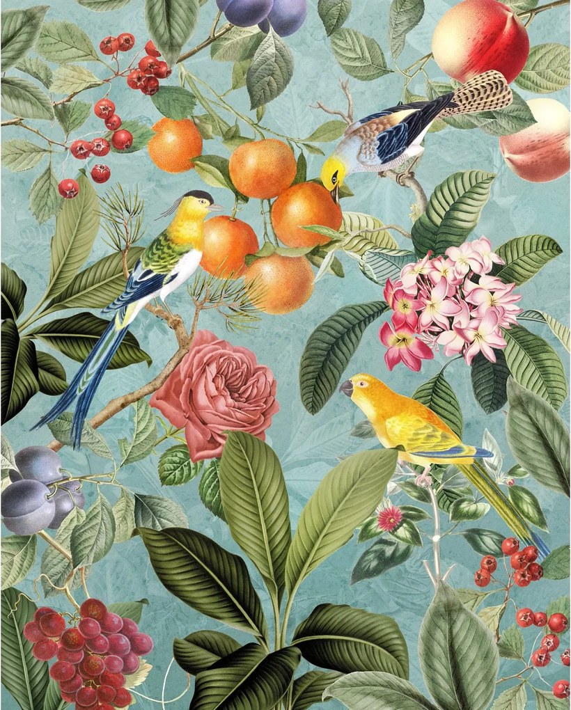 Komar Vliesová fototapeta Birds and Berries 200 x 250 cm