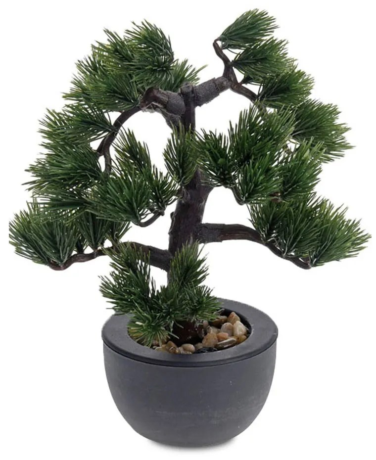 Jehličnatá Bonsai